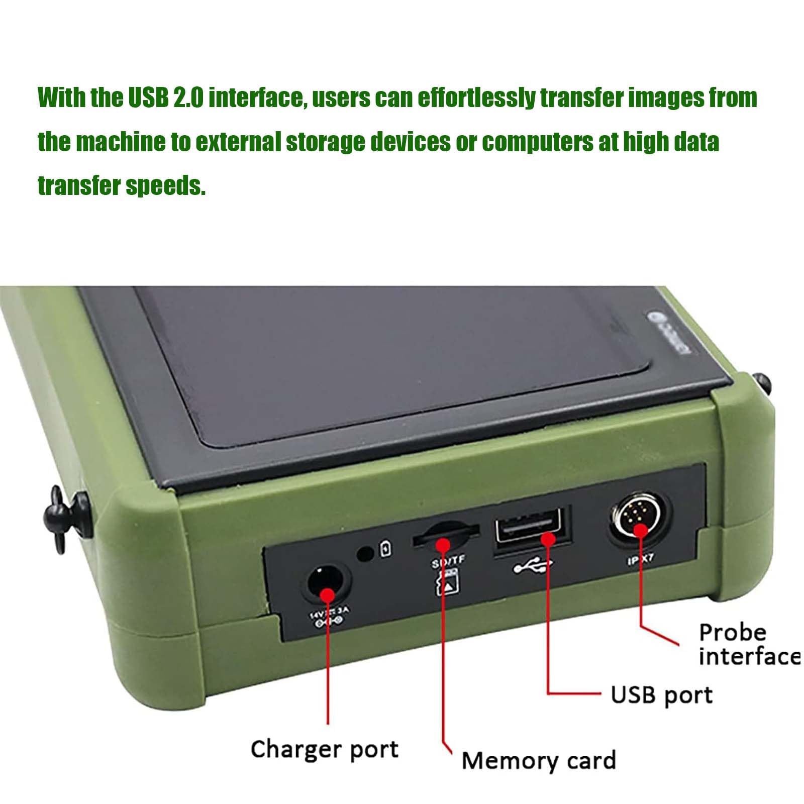 Dawei Vet Ultrasound Machine Portable Veterinary Handheld Scanner B-Ultra Sound with 3.5MHz Probe for pregnancy Pig,Sheep,dog,cat use