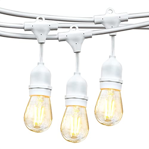 Brightech Ambience Pro - Waterproof LED Outdoor String Lights - Hanging, Dimmable Vintage Edison Bulbs, 48 Ft Commercial Grade Patio Lights Create Cafe Christmas Ambience In Your Backyard, 15 Bulbs 2W