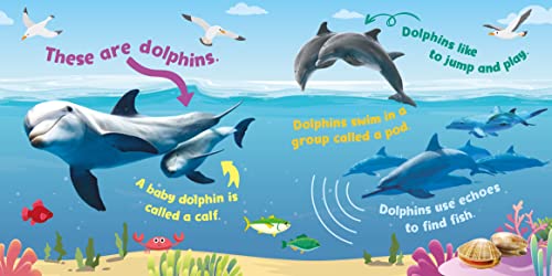 First Animal Facts: Ocean-5 Button Animal Sounds Book