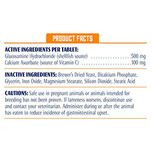 Pro-Sense Regular Strength Glucosamine Tablets for Dogs, 60 ct