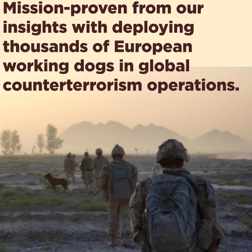 Mission-Proven Globally in Our Counterterrorism Work - Ultimate Skin & Coat Dog Chews-3X The Chews-Advanced Daily, Omega 3, DHA, EPA, Dry Skin Soother