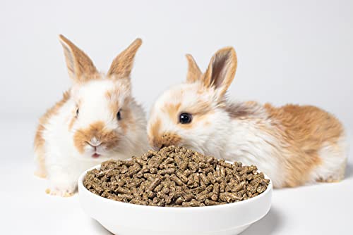 CZ Grain Premium Rabbit Pellets for Feeding - All Natural Adult Rabbit Pellets (5 Pounds)