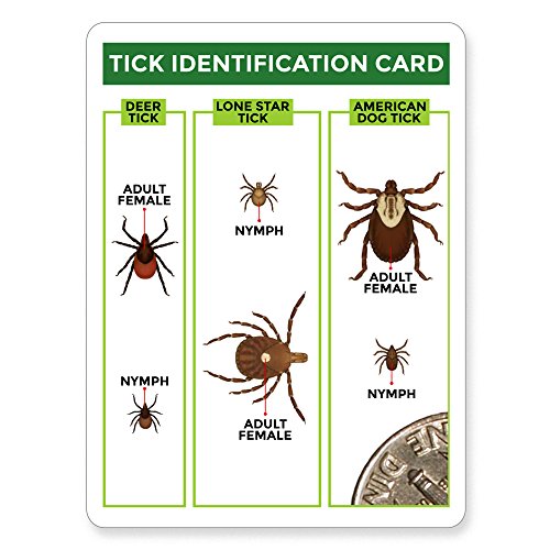 TickCheck Tick Remover Value 3 Pack - Tick Remover Tools + Tick Identification Card - for Humans, Dogs & Cats (1 Set)