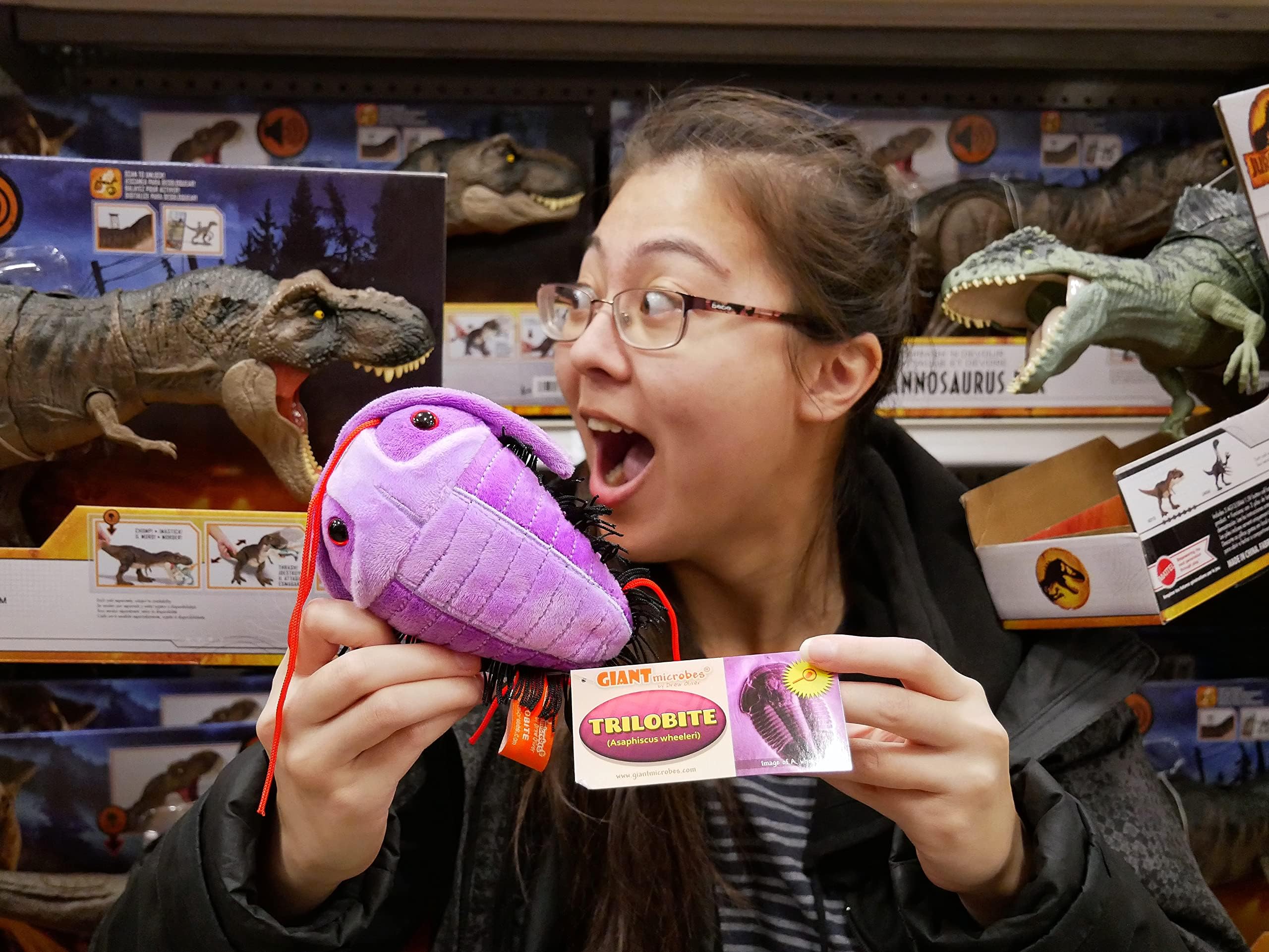 GIANT MICROBES Fuzzy Fossils Trilobite Plush - Learn About Fossils and Prehistoric Creatures, Unique Gift for Family, Friends, Scientists, Nature Lovers and Dinosaur Fans