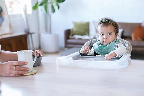 Inglesina Fast Table Chair - Award-Winning Baby High Chair for Eating & Dining - Compact, Portable & Foldable - Leaves No Scratches - for Babies 6-36 Months & 1-3 Year Old Toddler - Cream