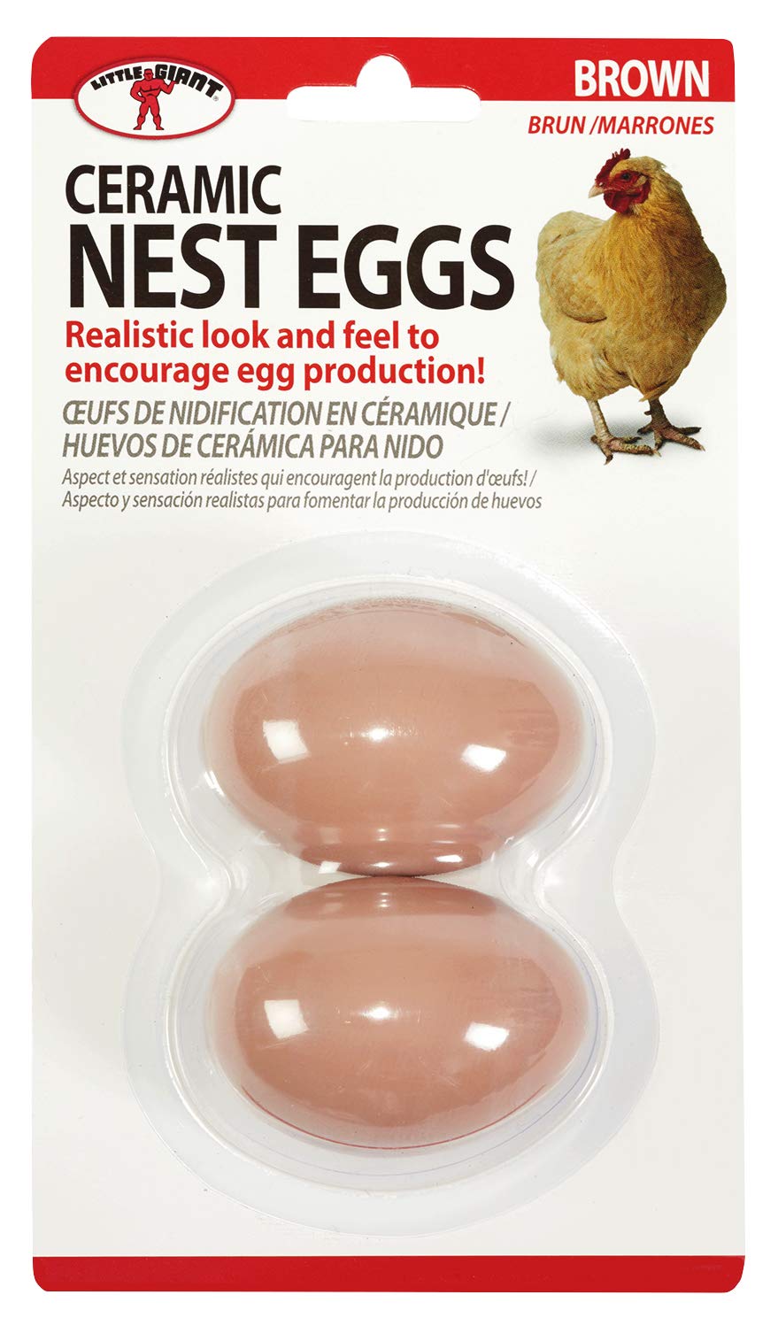 Little Giant® Ceramic Nest Eggs | Artificial Eggs to Encourage Egg Production | Brown