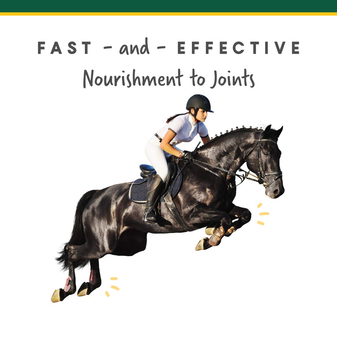 Manna Pro Corta-FLX Powder 8 lb Equine Joint Supplement, White