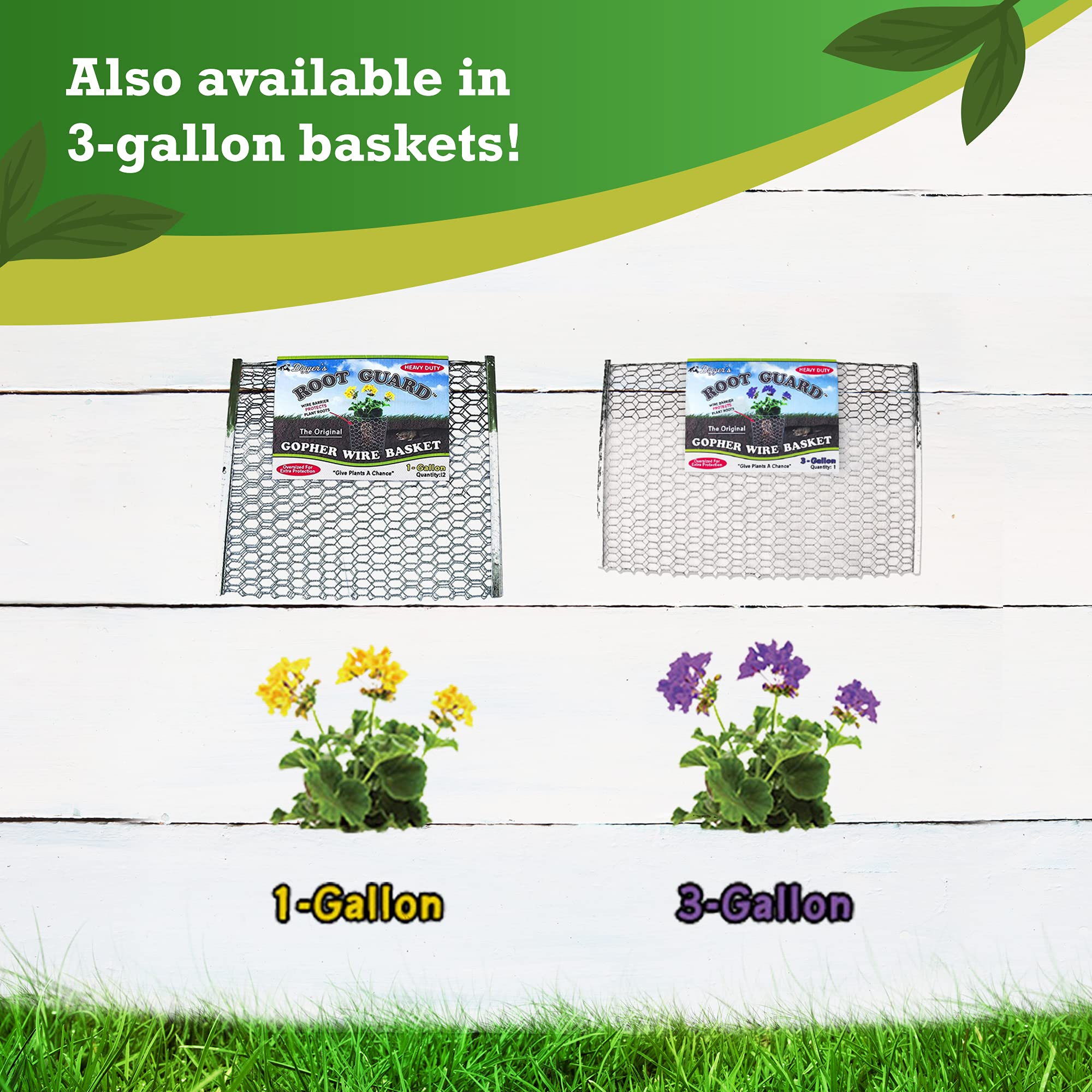 Digger’s 1-Gallon Heavy-Duty Wire Basket - Gopher Wire Basket for Perennials & Vegetables (12 Baskets)