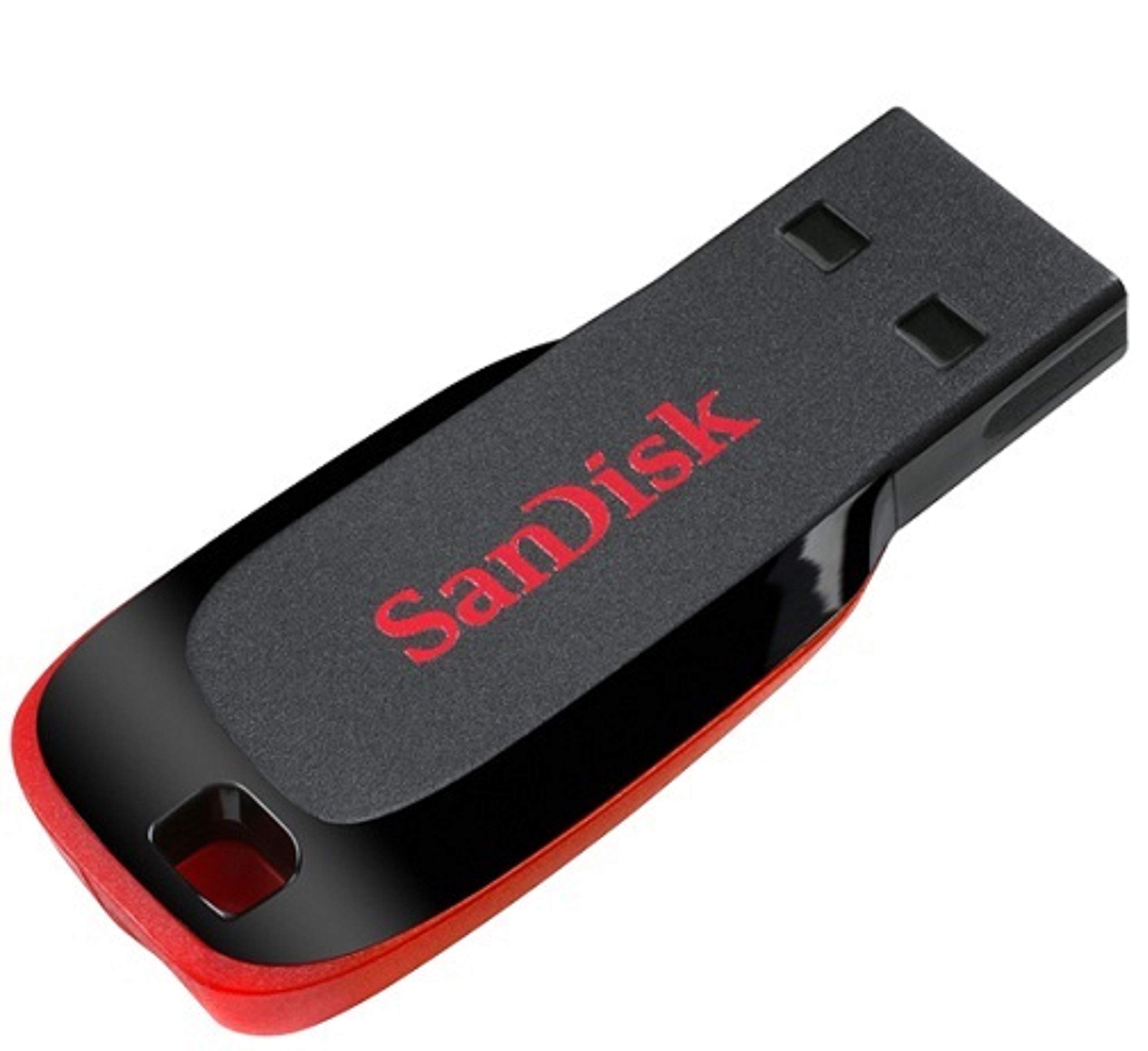 SanDisk Cruzer 32GB (16GB x 2) Cruzer Blade USB 2.0 Flash Drive Jump Drive Pen Drive SDCZ50 - Two Pack w/Everything But Stromboli (tm) Lanyard