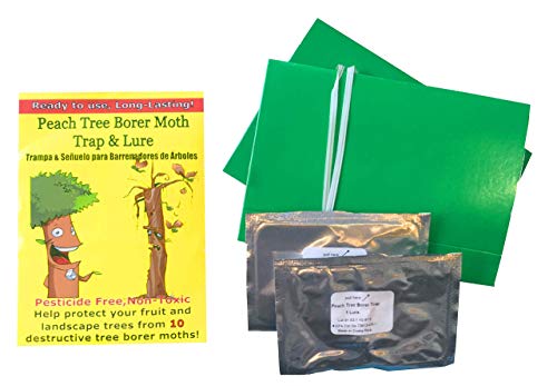 Peach Tree Borer & Clearwing Moth Trap (2 Pack, 8 Week)