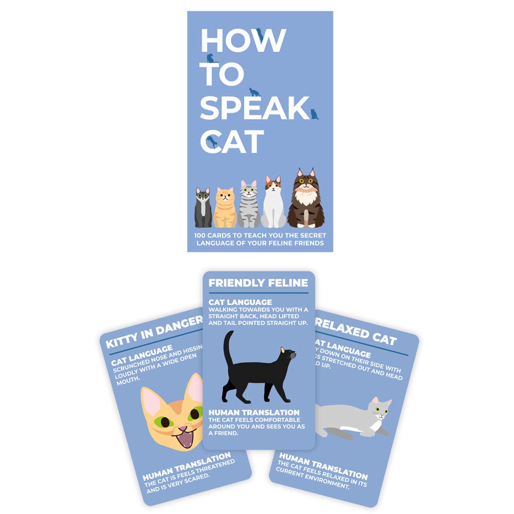 Gift Republic How To Speak Cat 100 Cards Fun Gift for Cat Lovers Learn What Your Kitten is Saying Cat Behaviour Guidance Cards Kitty Feline Language