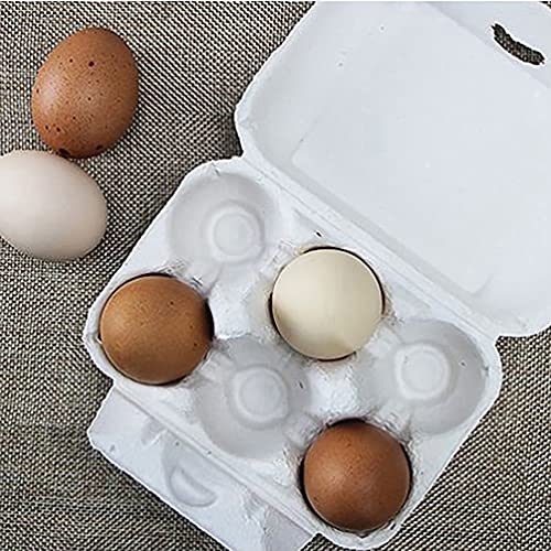 Hemoton 10 Pack Paper Egg Cartons Easter Reusable Egg Storage Natural Pulp Egg Cartons Pulp Fiber Egg Flats for Chicken Eggs Bulk Blank Egg Container Holds 6 Eggs