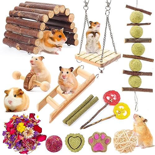 DAMPET Hamster Toys,12 Pack Guinea Pig Chew Toys and Accessories for Hamster Cage,Natural Wooden Guinea Pig Hideout and Timothy Stick Apple Wood for Hamster,Guinea Pig,Rats,Chinchilla,Gerbils,Mice