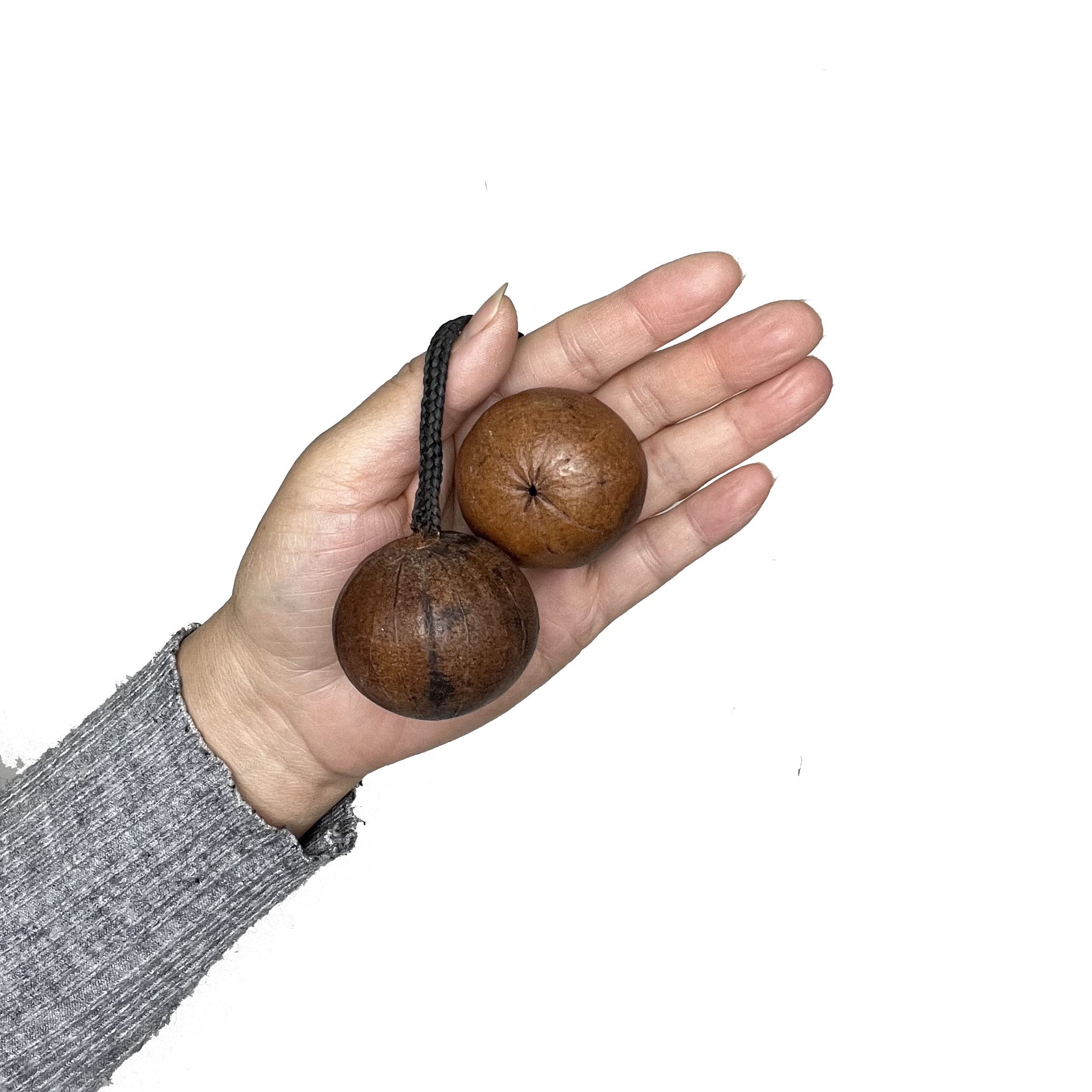 Asalato Authentic Aslatua Televi Kashaka from west Africa 1 x double –pod shaker Mini Shaker, Natural shaker