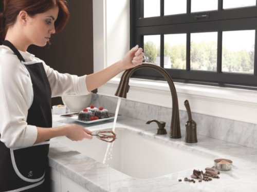 Delta Faucet Pilar Kitchen Soap Dispenser for Kitchen Sinks, Venetian Bronze RP50781RB