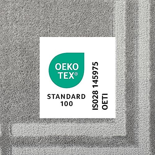 TOWN & COUNTRY EVERYDAY Cloud Shag Plush Border Area Rug with High-Low Pile, Grey, 7'10"x10'2"