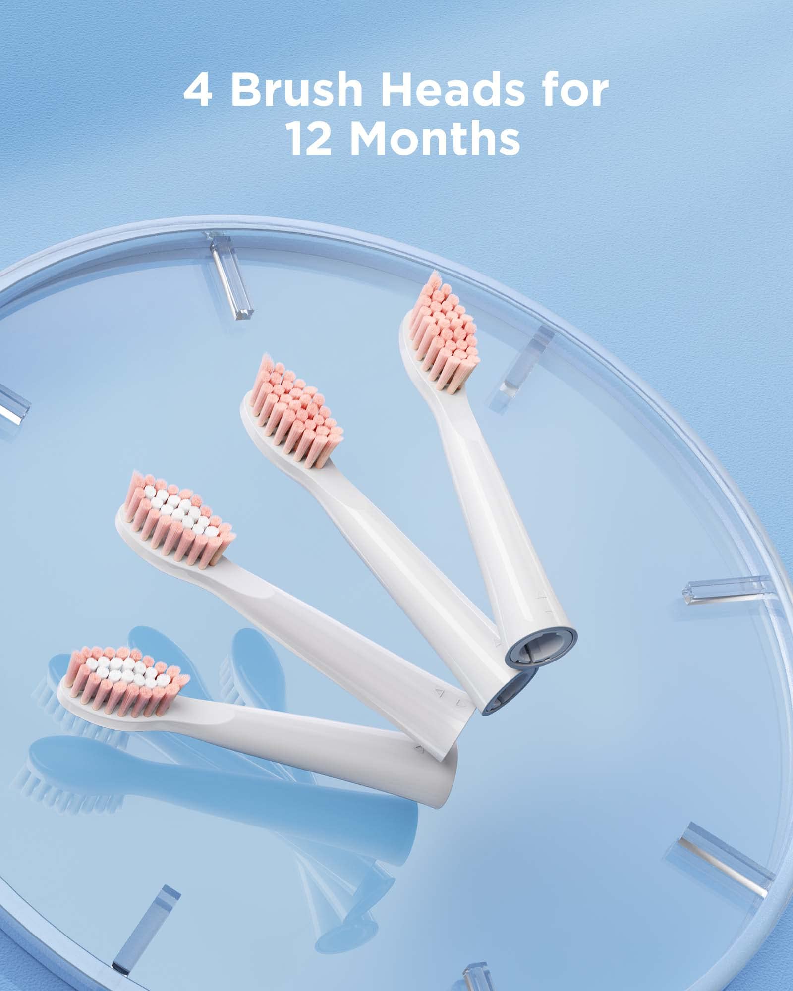 Bitvae Sonic Electric Toothbrush Electronic Toothbrush for Adults with 8 &4 Brush Heads, Travel Rechargeable Power Toothrush for 30 Days Using, Ultrasonic Toothbrush with 5 Modes and Timer (Pink)