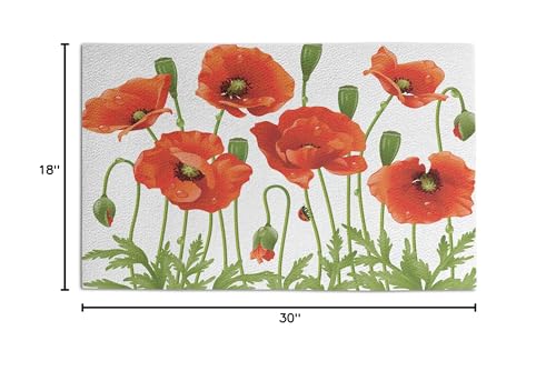 Lunarable Flower Doormat, Spring Wild Flower Poppy Ladybug Leaf Springtime Garden Nature Backyard Print, Decorative Polyester Floor Mat with Non-Skid Backing, 30" X 18", Orange Green