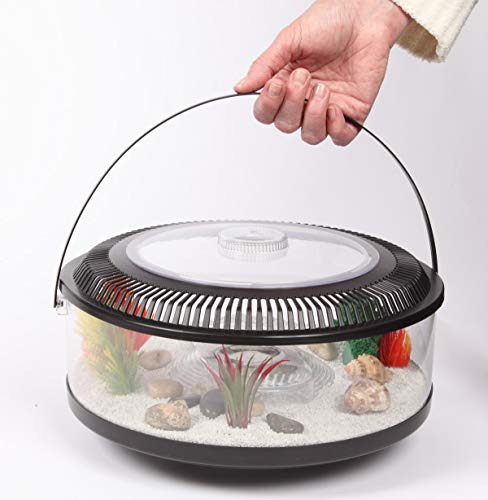 Repitat Reptile Carrier with Cover and Handle