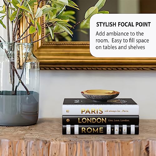 Decorative Books for Home Decor β Hardcover Faux Book Decor, Gold Foil Stamping Titles, Set of 3 β as Coffee Table/Entryway Table/Book Shelf Decor