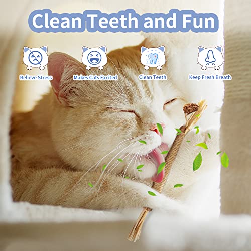 Catnip Toys with Silvervine for Cats - 3 Pack Cat Chew Toys for Aggressive Chewers, Edible Interactive Cat Toys for Indoor Cats Kitten Teething with Natural Silvervine Sticks for Teeth Cleaning