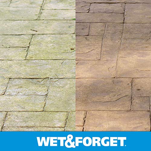 Set of 2 Wet and Forget Moss, Mildew and Algae Stain Remover
