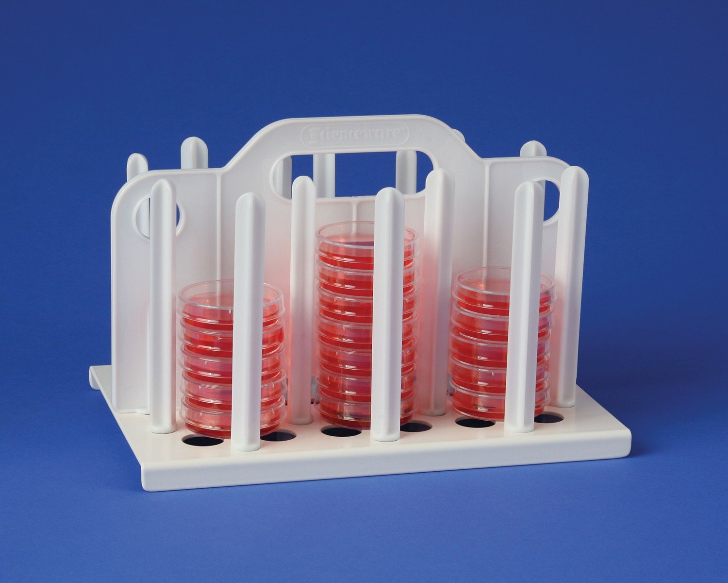 SP Bel-Art ProCulture 60mm Petri Dish Rack; 10½ x 6ž x 6ž in., 54 Places, Plastic (F18991-0060)