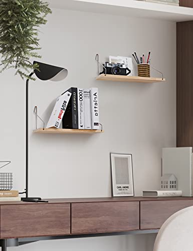 HOMESAN Floating Shelves Set of 2, Bathroom Shelves, Wall Shelves for Bedroom, Floating Shelf for Wall Decor
