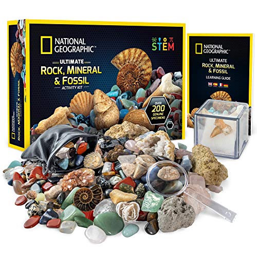 NATIONAL GEOGRAPHIC Rock Collection Box for Kids â 200+ Piece Gemstones and Crystals Set Includes Geodes & Real Fossils, Rocks & Minerals Science Kit, Geology Gift for Boys & Girls (Amazon Exclusive)