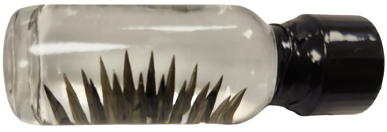 CCS CONSOLIDATED CHEMICAL & SOLVENTS Liquid Gold Ferrofluid Magnetic Liquid Display 15ML (1/2oz)