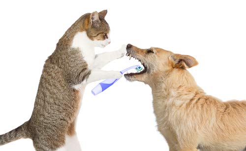 Dog Dental Chews - Pets Teeth Health Complex - for Dogs and Cats - Support Oral Care - Vitamin c for Dogs Pills - 2 Bottles (120 Tablets)