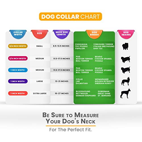 Moose Pet Wear Classic Dog Collar β Adjustable Pet Collars, Made in the USA β 3/4 Inch Wide, Small, Forest Green