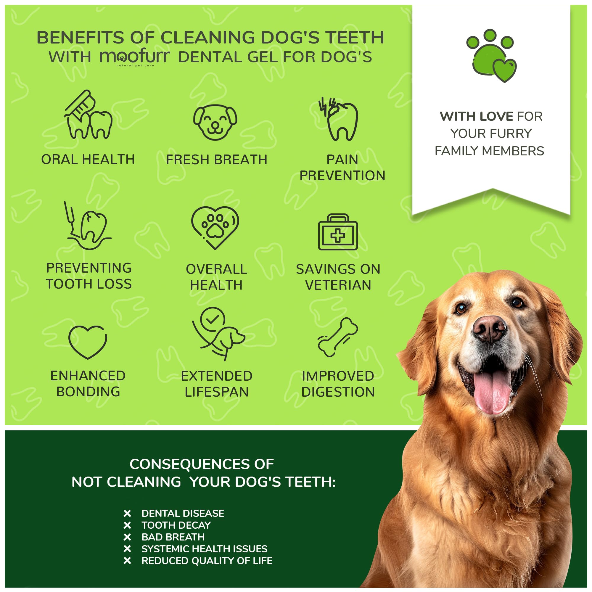 Moofurr Dog Toothpaste - Natural Flavourless Toothpaste I Against Tartar I Plaque Removal I Dental Care for Dogs