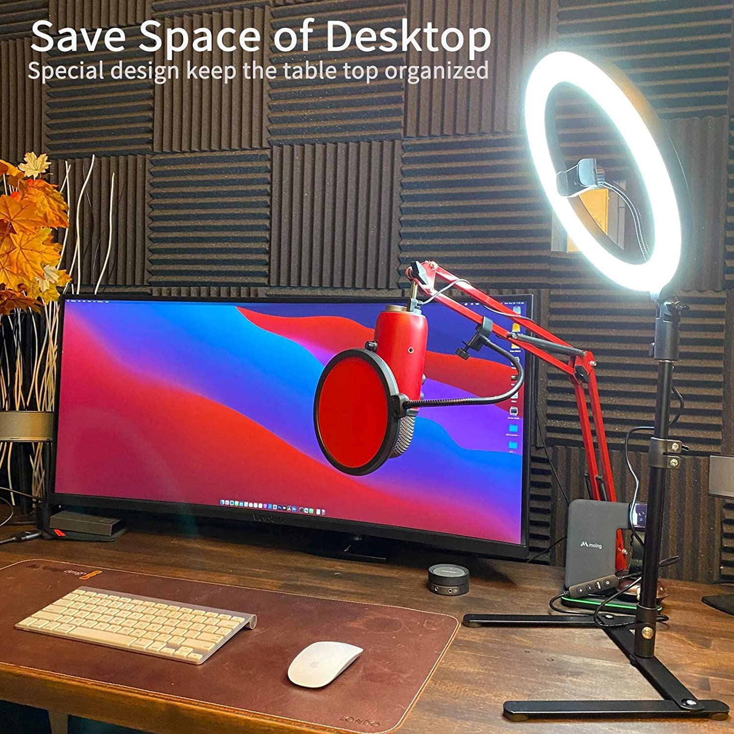 Godox LR120 12" LED Ring Light with Desktop Stand & Phone Holder,3000K-6000K Dimmable Selfie Ring Light,USB Powered Conference Light for Vlogs,YouTube,TikTok,Live Stream,Makeup,Photography (Black)