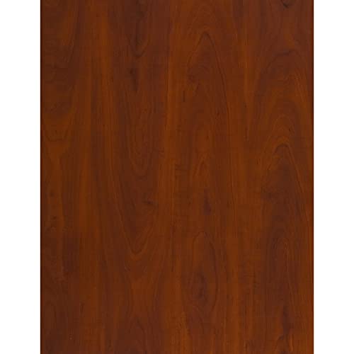 Two Door Storage Cabinet Hansen Cherry/Graphite Gray
