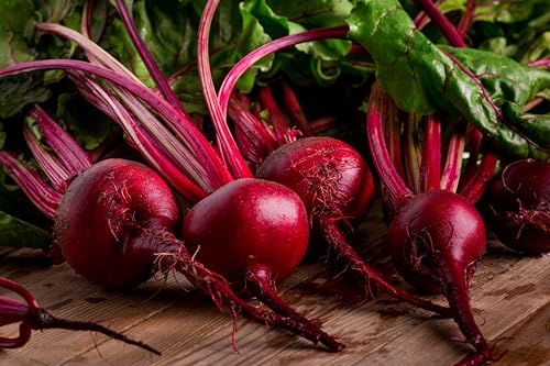Beet Seeds for Planting - Non-GMO Heirloom Seed Packets with Instructions to Plant & Grow an Outdoor Vegetable Garden - Great Gardening Gift - 50 Ruby Queen Beet Seeds Per Packet (1 Packet)