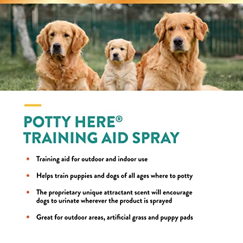 NaturVet β Potty Here Training Aid Spray | Attractive Scent Helps Train Puppies & Dogs Where to Potty | Formulated for Indoor & Outdoor Use | 8 oz
