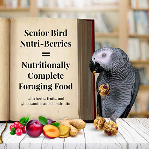 LAFEBER'S Senior Bird Nutri-Berries Pet Bird Food, Made with Non-GMO and Human-Grade Ingredients, for Parrots, 10 oz