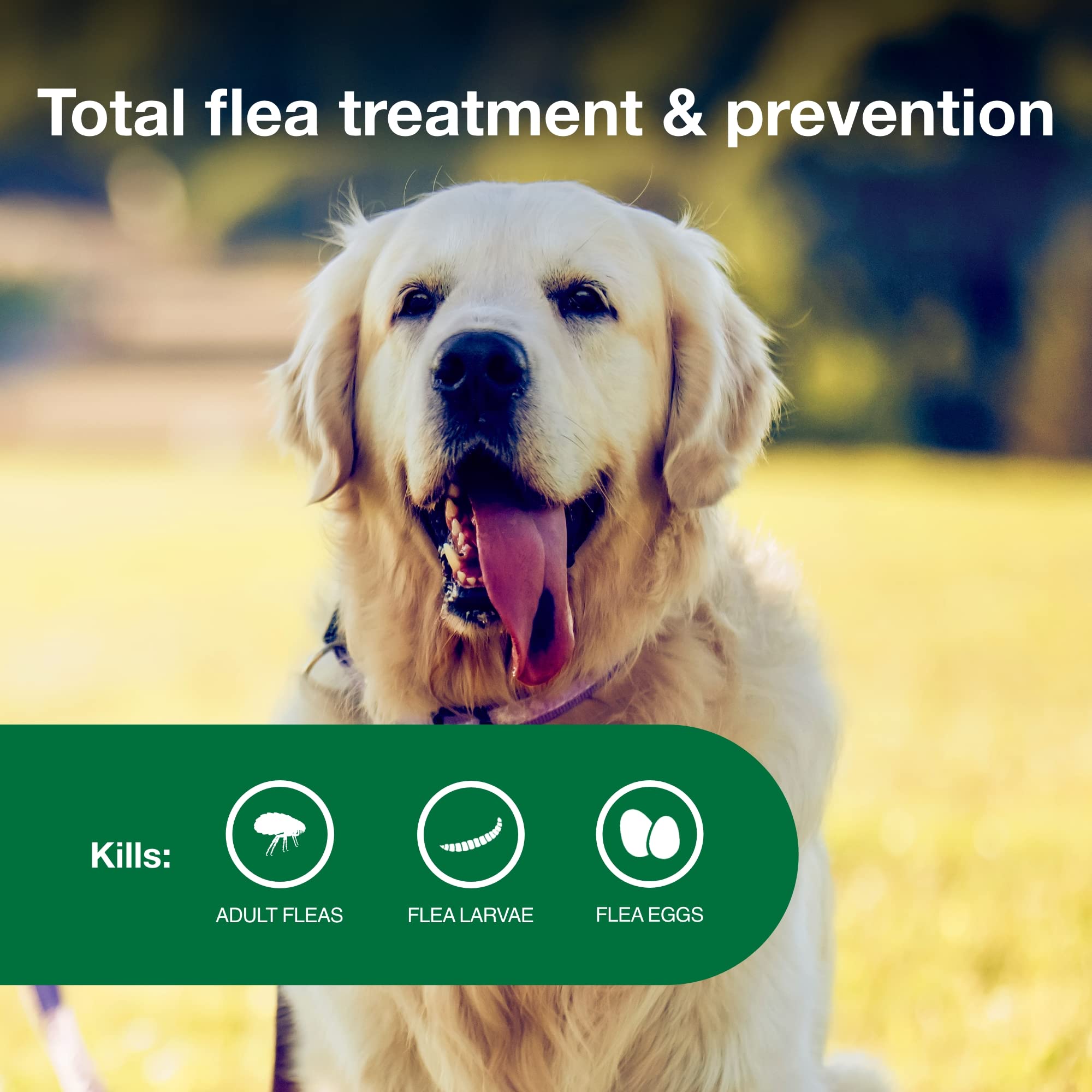 Bundle of Advantage II Large Dog| Dogs 21-55 lbs. | 4-Month Supply + Pet Protect Probiotic Balance+ Dog Supplement | Oral Gel | 32g