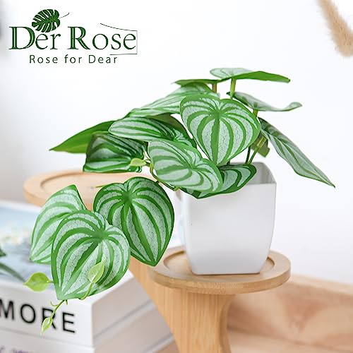 Der Rose 2 Packs Fake Plants Small Artificial Plants for Home Bathroom Office Desk Accessories Living Room Decor Indoor