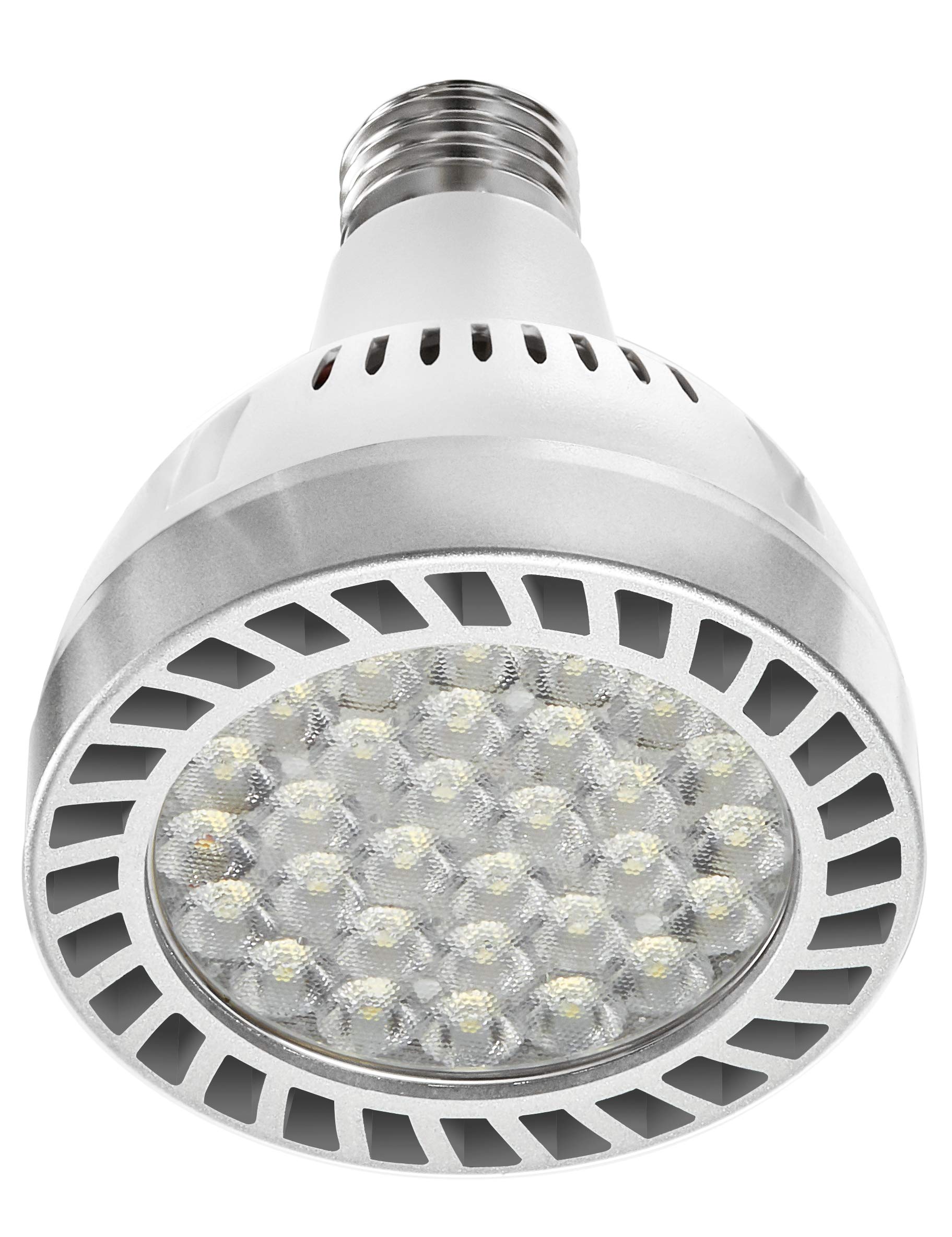 Broadroad LED Pool Light Bulb 120V 65W Daylight White 6000K Swimming Pool 6000LM Pool Light Bulb Replacement for Most Pentair Hayward Light Fixtures (Pool 65W)