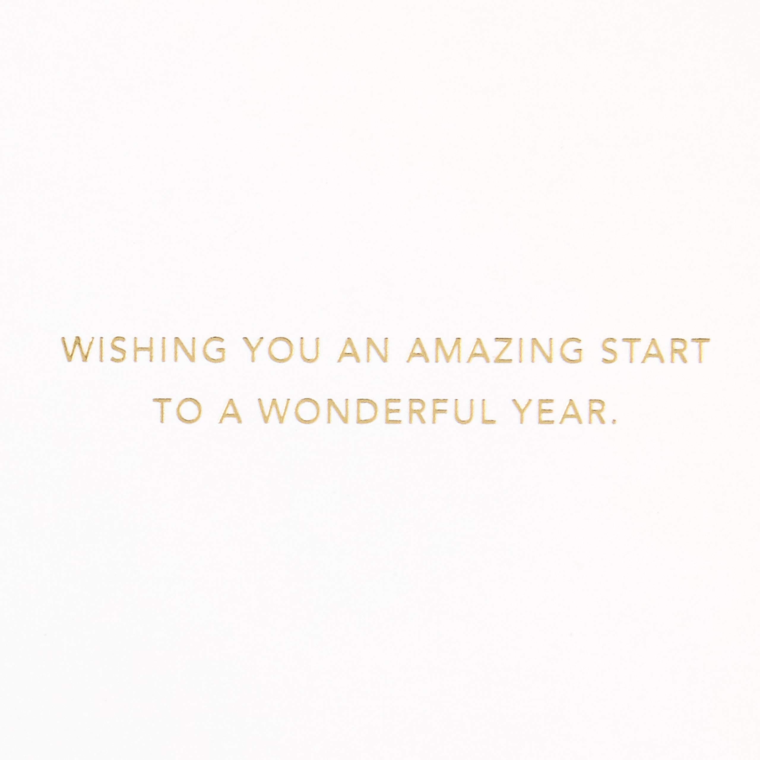 Hallmark Signature Birthday Card (Wonderful Year)