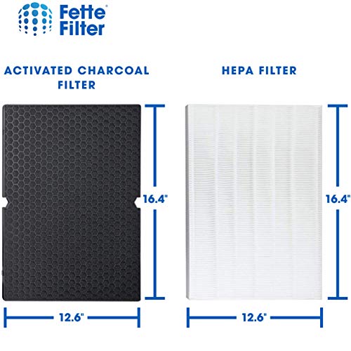 Fette Filter - 116130 Premium True HEPA H13 Filter H Compatible with Winix Filter H 116130 for Winix Model 5500-2 AM80 Air Purifier Includes 2 Pack Ture HEPA Filters + 2 Pack Activated Carbon Pre-Filters