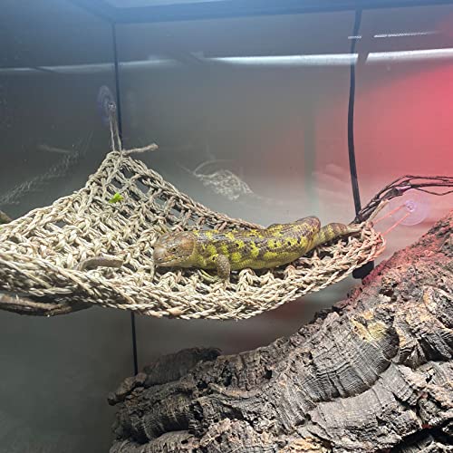 kathson Reptile Habitat Skull Decoration Bearded Dragon Tank Accessories Resin Human Skulls Hide Cave Hanging Vines Plant for Lizards Tortoise Snake Chameleon Spider Reptiles Amphibians(4 PCS)
