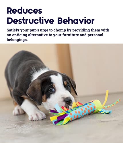 Petstages Cool Teething Stick