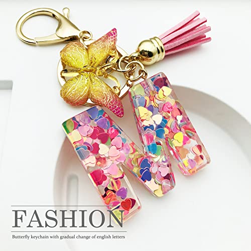 JINGUAZI Initial letter Keychains for Women Tassel Butterfly Pink Cute Car Keychain for Wallet Purses Backpack (Pink M)