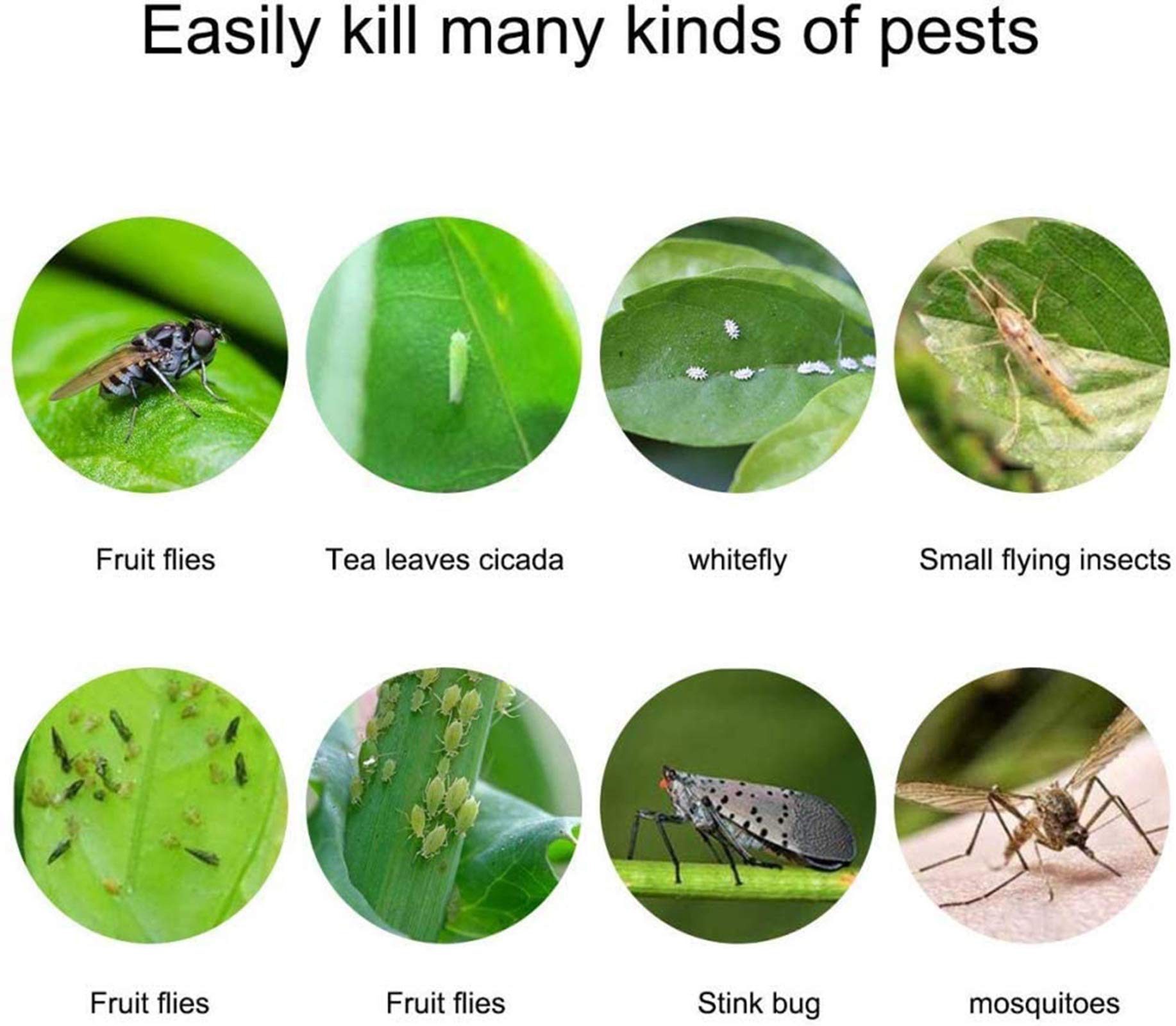 Faicuk Yellow Dual-Sided Sticky Fly Traps for Plant Insect Like Aphids, Fungus Gnats, Leaf Miners and White Flies (10 Pack)