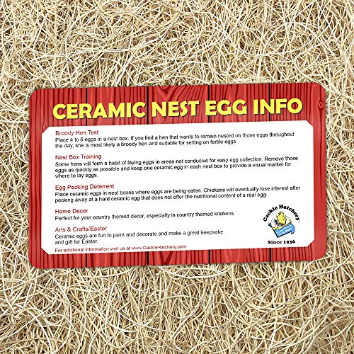 Ceramic Nest Eggs - Brown