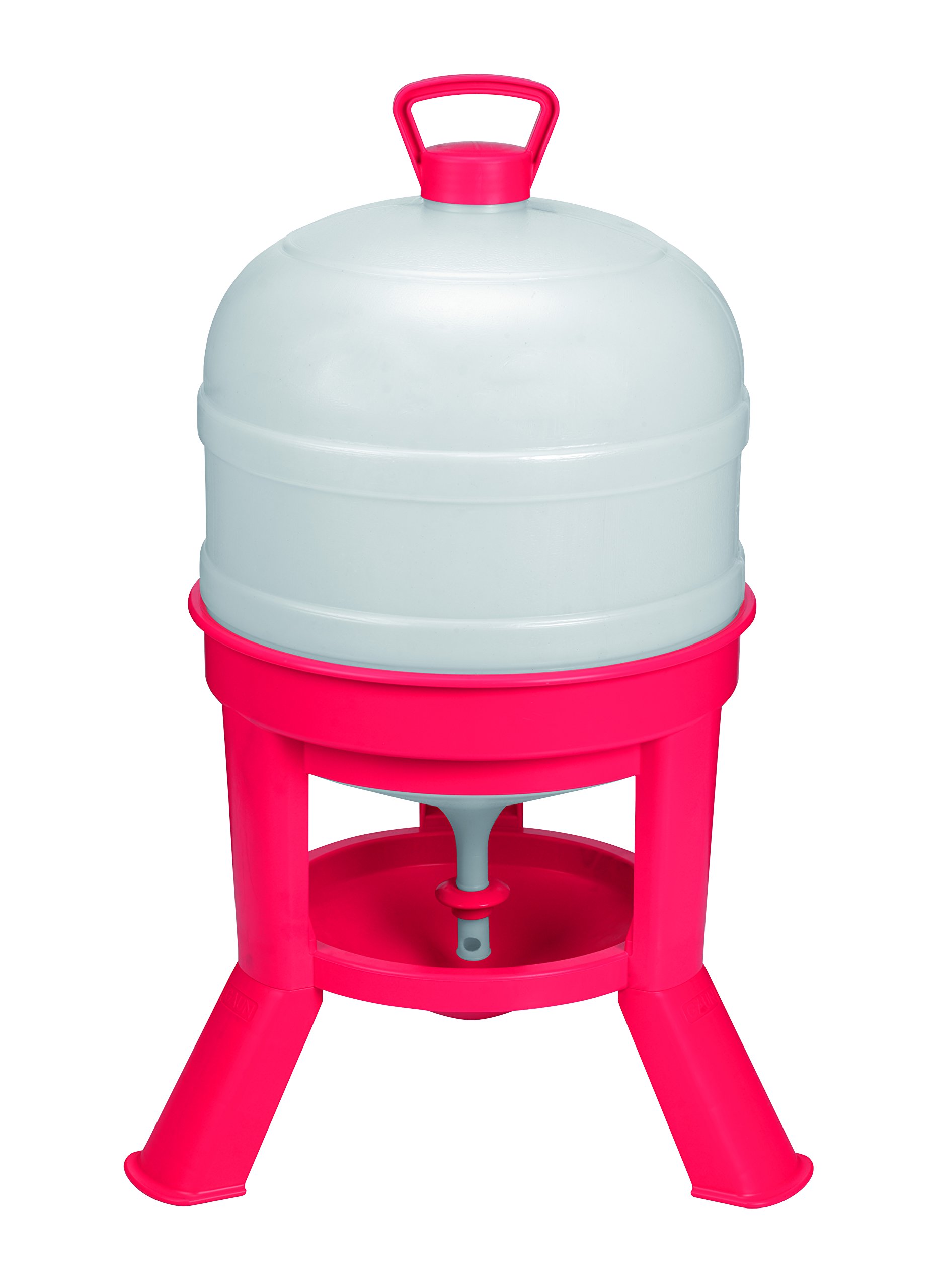 Little Giant® Plastic Dome Waterer | Heavy Duty Plastic Gravity Fed Poultry Waterer Container Tank | Chickens, Ducks & Other Birds for Hobbyists, Farmers and Ranchers | 8 Gallon