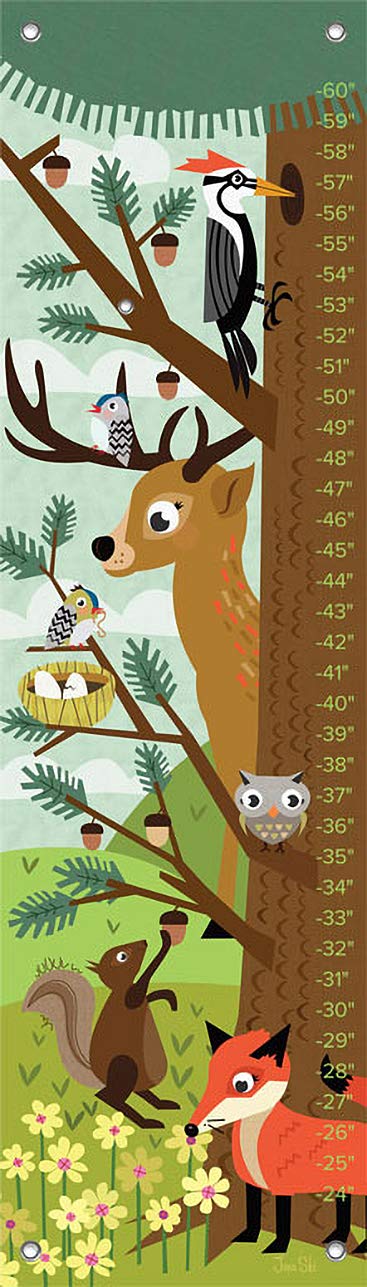 Oopsy Daisy Growth Charts Woodland Creatures by Jenn Ski, 12 by 42-Inch